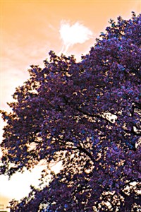 Methodical Mind | Royal Road