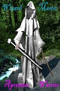 Volume One Chapter 3: Sword Shopping - Wizard Master, Apprentice ...