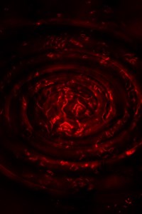 Survive - Terror Infinity Fanfic | Royal Road