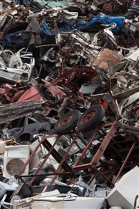 This world is Dead. | Royal Road