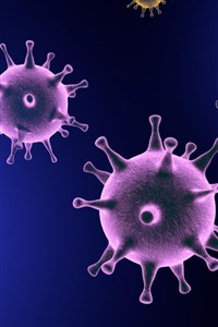 Chapter 4 the might Of the T-virus - T Virus System | Royal Road