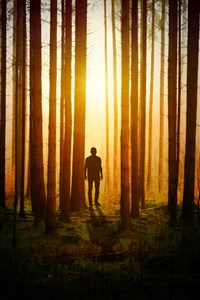 Invasion | Royal Road