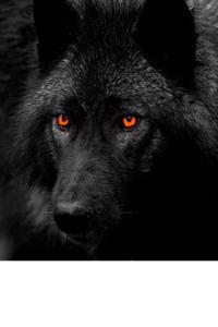 Original Wolf - (The Originals) | Royal Road