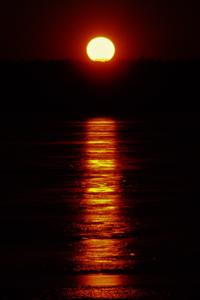 Somewhere Else | Royal Road