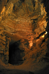 The Mirror Chamber - The Mirror Chamber | Royal Road