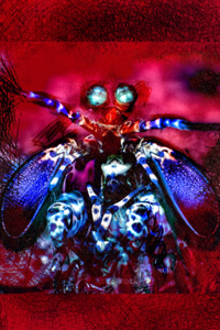 the daily life of a baby destroyer - Decapod | Royal Road