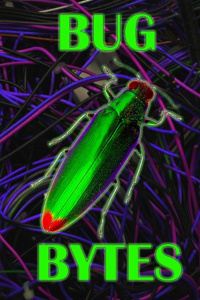 57. Pressed For Time - Bug Bytes | Royal Road