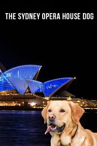 The Sydney Opera House Dog | Royal Road