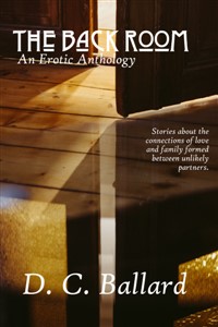 The Back Room | Royal Road