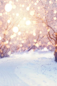 Frozen Core | Royal Road