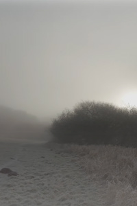 In this World of Mist | Royal Road