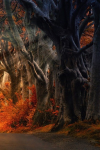 Snow White - Twisted Tales | Royal Road