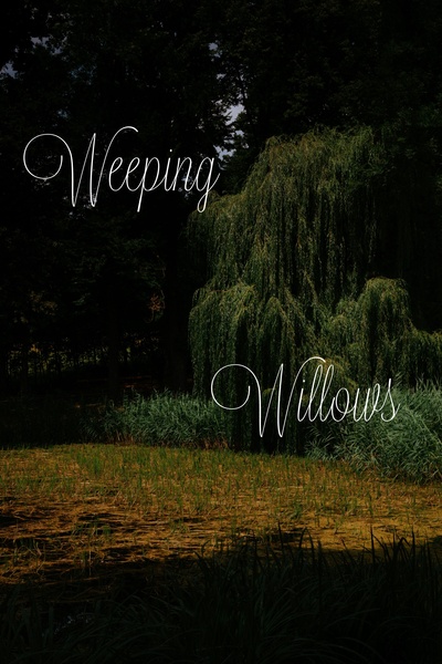 Weeping Willows | Royal Road