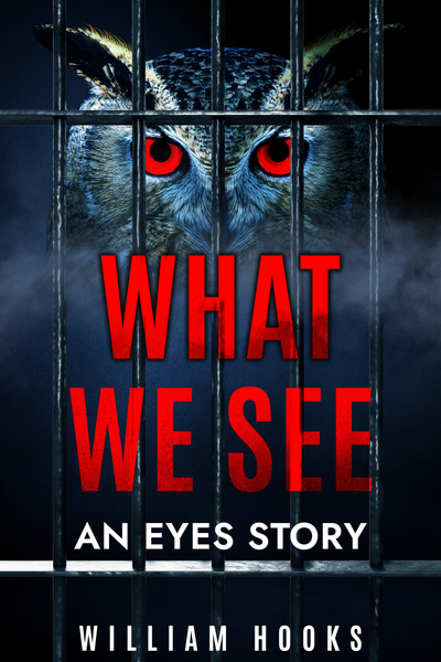 What We See: An Eyes Story (Book One) | Royal Road