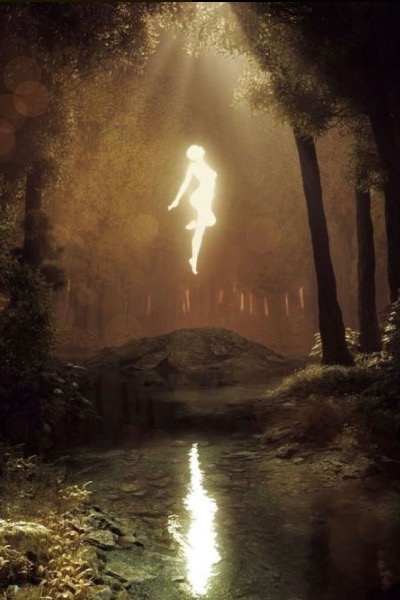 Hidden Wonder | Royal Road