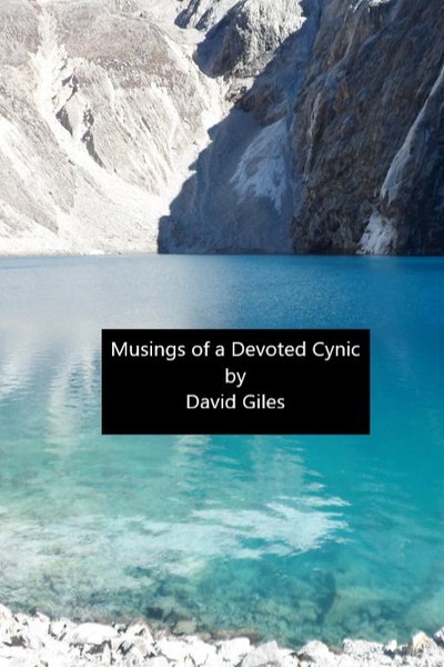The Three Words - Musings of a Devoted Cynic | Royal Road