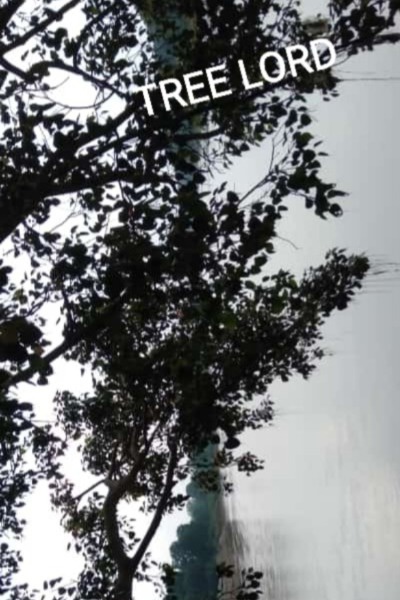 Tree lord | Royal Road