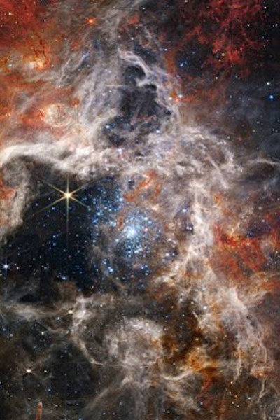 Very Close Encounters | Royal Road