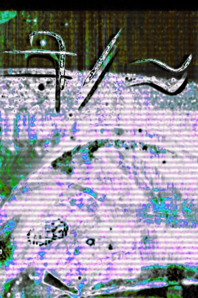 High Shot: Madness | Royal Road