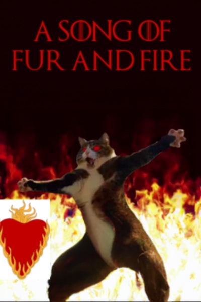 Balerion III - A Song of Fur and Fire: Balerion the Purr-mised Prince ...