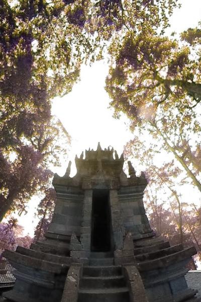 Newest Fictions | Royal Road