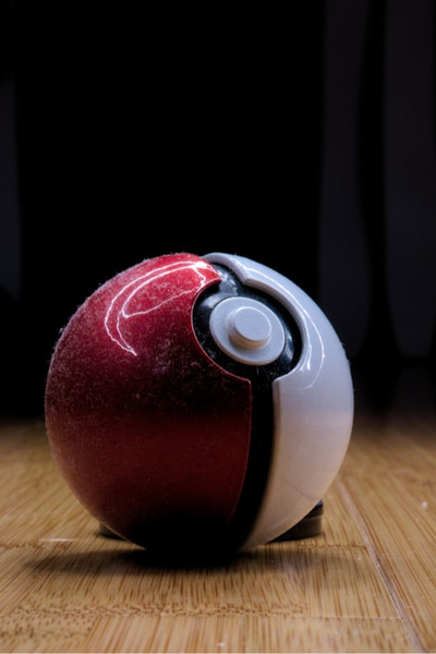 Chapter 50 - Pokémon Warrior | Royal Road