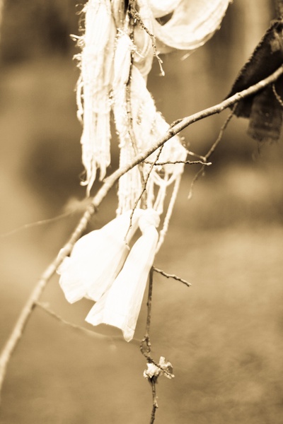 From rags to... more rags. | Royal Road