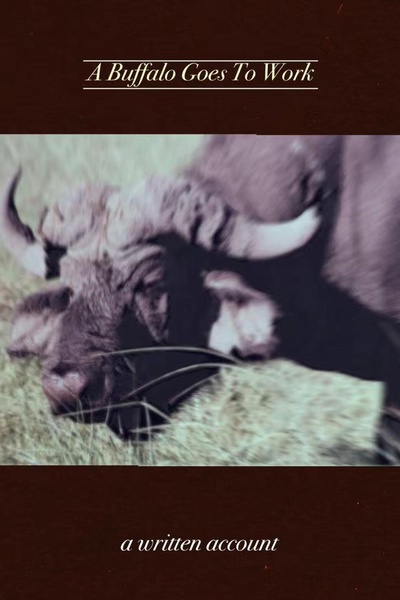 A Buffalo Goes To Work | Royal Road