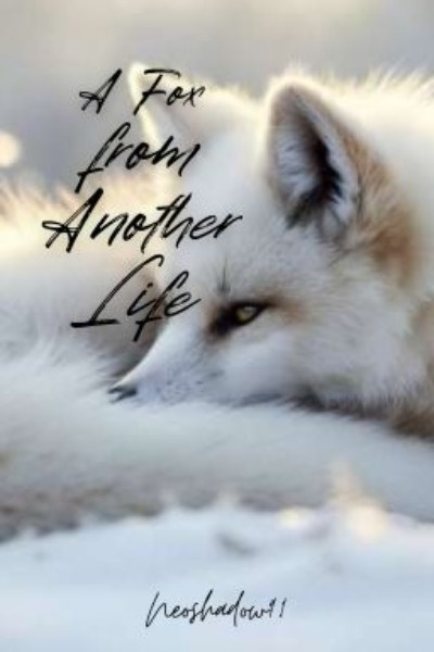 First Arc: 6 – Questing - A Fox from Another Life | Royal Road