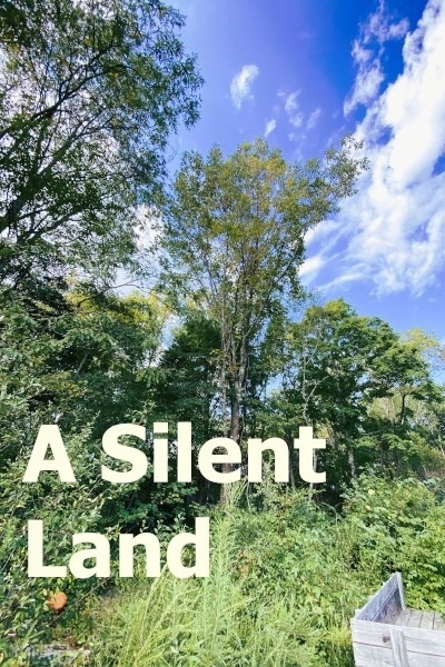 A Silent Land | Royal Road
