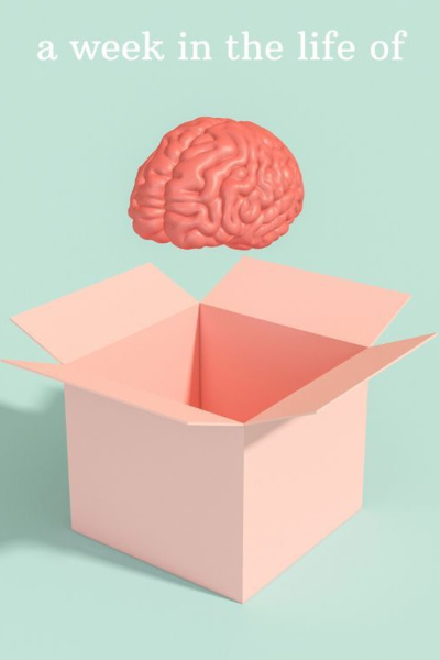 A week in the life of | Royal Road