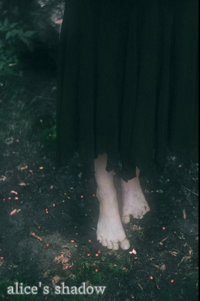 Alice's Shadow | Royal Road