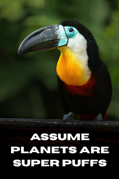 Assume Planets Are Super Puffs - Royal Road Magazine [January 2026 ...