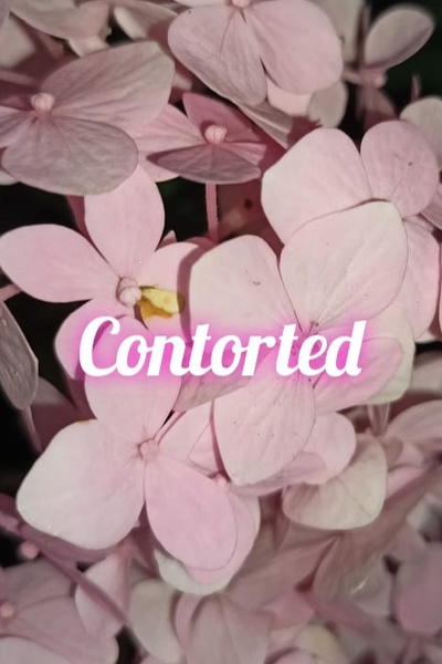 Contorted | Royal Road
