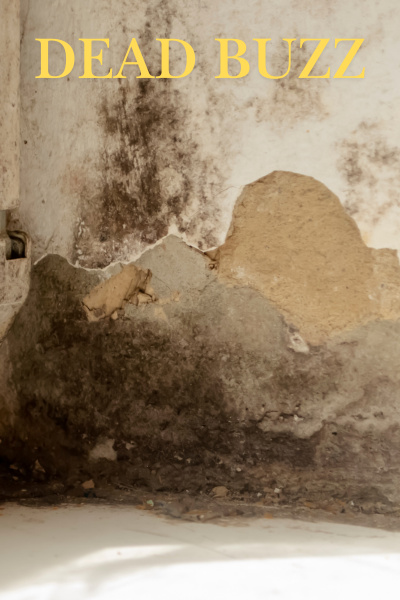 Dead Buzz - Dead Buzz | Royal Road