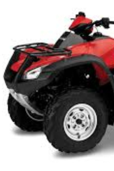 DEVIL MARCY UNTAMED | Royal Road