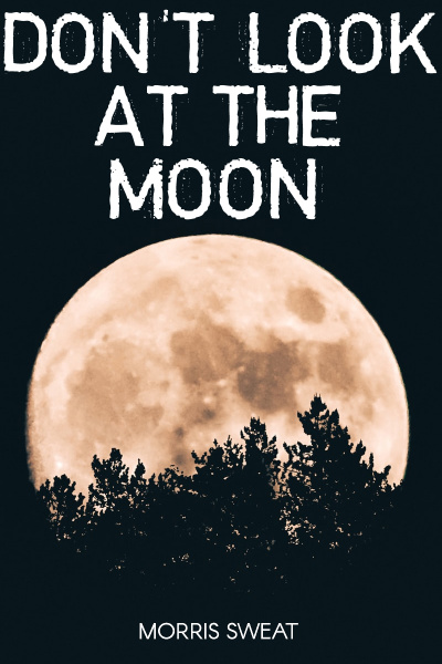 Don't Look at the Moon | Royal Road