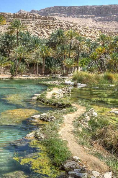 DUNGEON OASIS | Royal Road