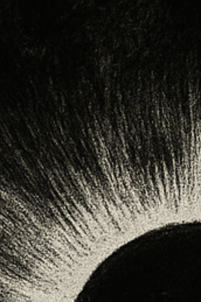 Eclipse [English] | Royal Road