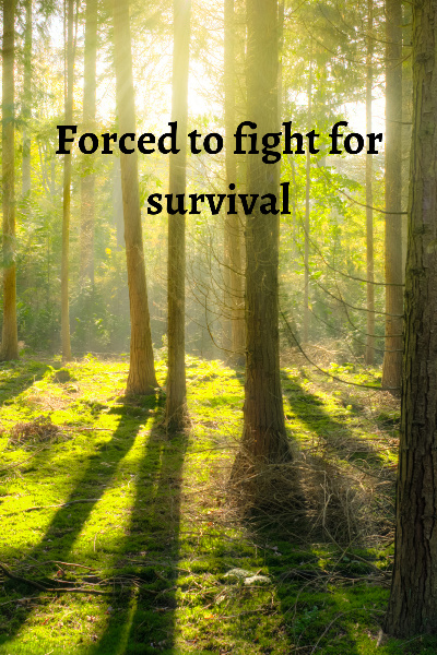 Forced to fight for survival | Royal Road