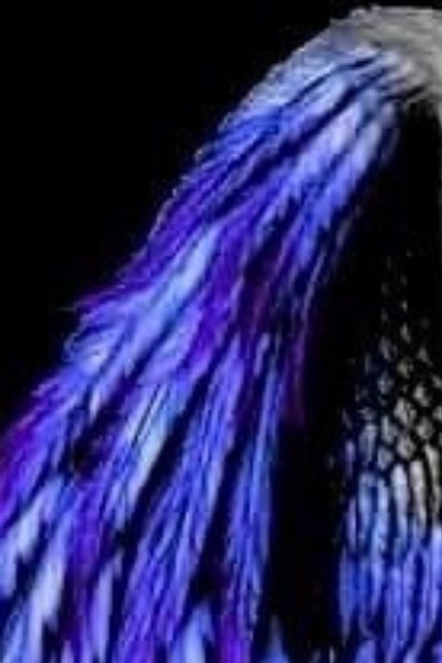 A Meeting Very Long Since Passed - Forged in the Abyss | Royal Road