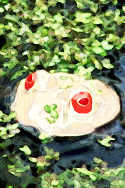 Chapter 27: The Mysterious Disappearance - Glimpse of Real Freedom ...