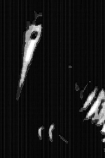 Vol 2: Path Of Penance - Hellwind | Royal Road