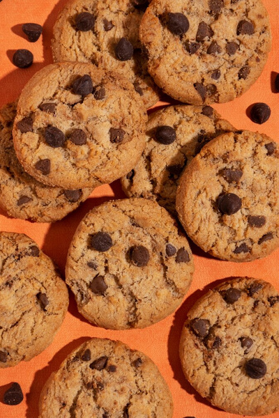 Chapter 59 - Frostborn Throne - Here, Have a Cookie a Pokemon ...