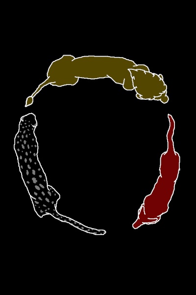 24 – Ziz of the Cycle - It's All The Rage | Royal Road