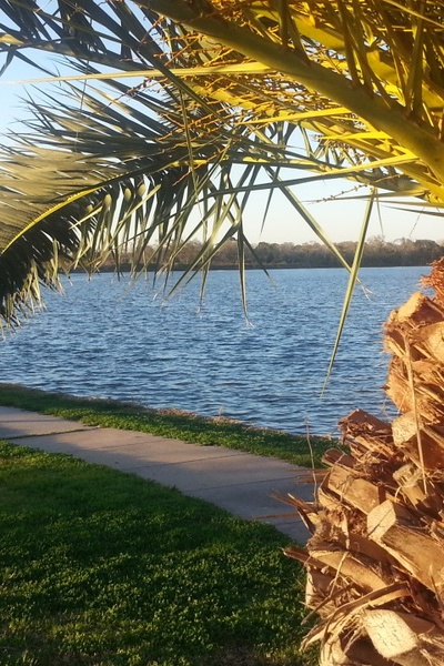 Are you coming with me? - Love ya | Royal Road