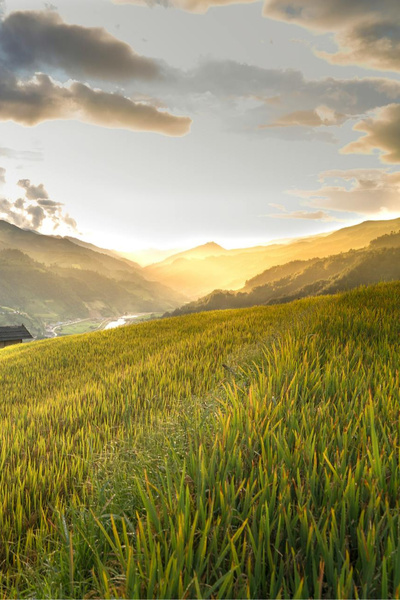 My Special Place | Royal Road