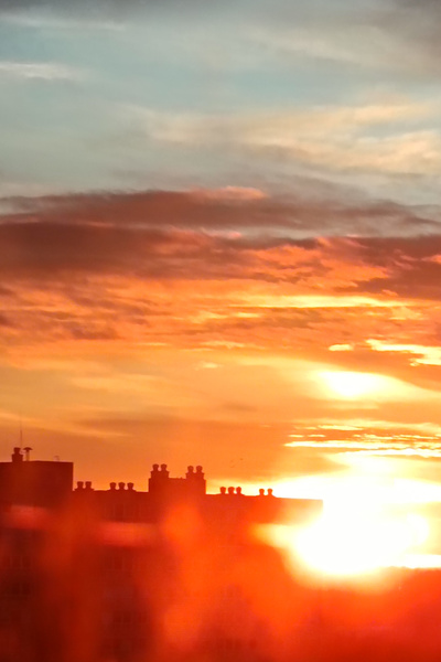 Boring Schedules of the Moody Blues - Not human, not really. | Royal Road