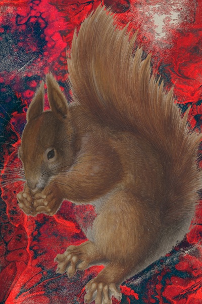 Chapter 8 - VERSUS - NULL & The Void: Volume I | Royal Road