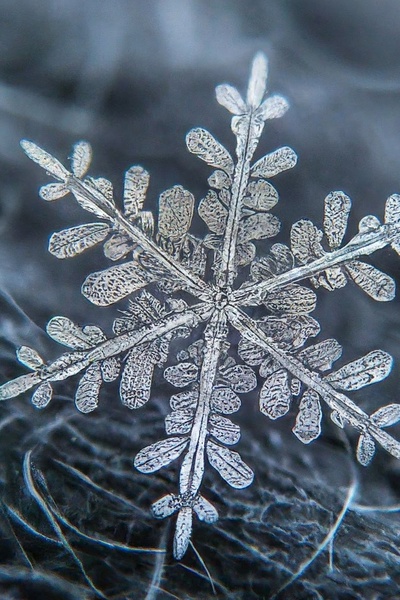 Latest Updates | Royal Road